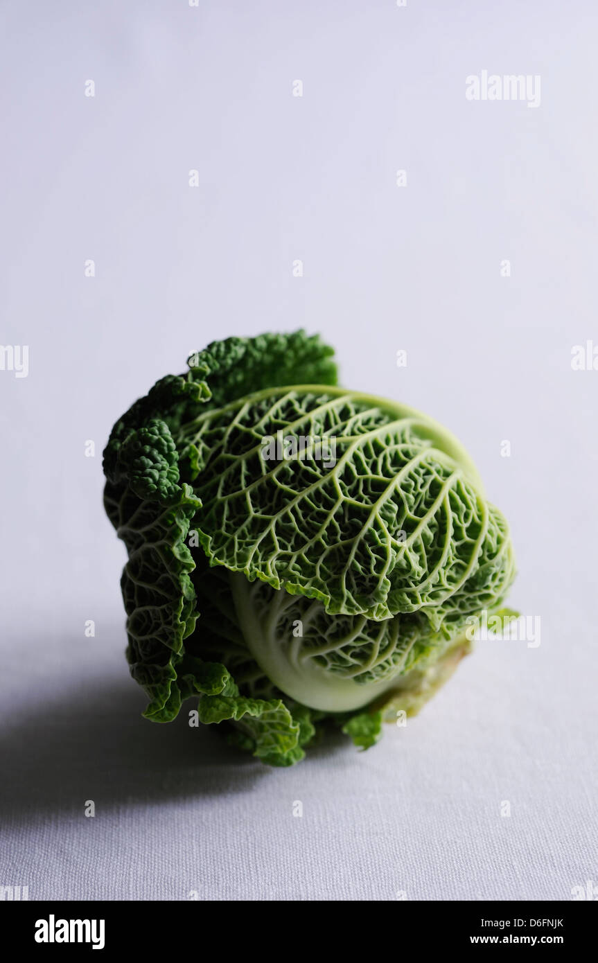 Baby Savoy Cabbage Stock Photo - Alamy