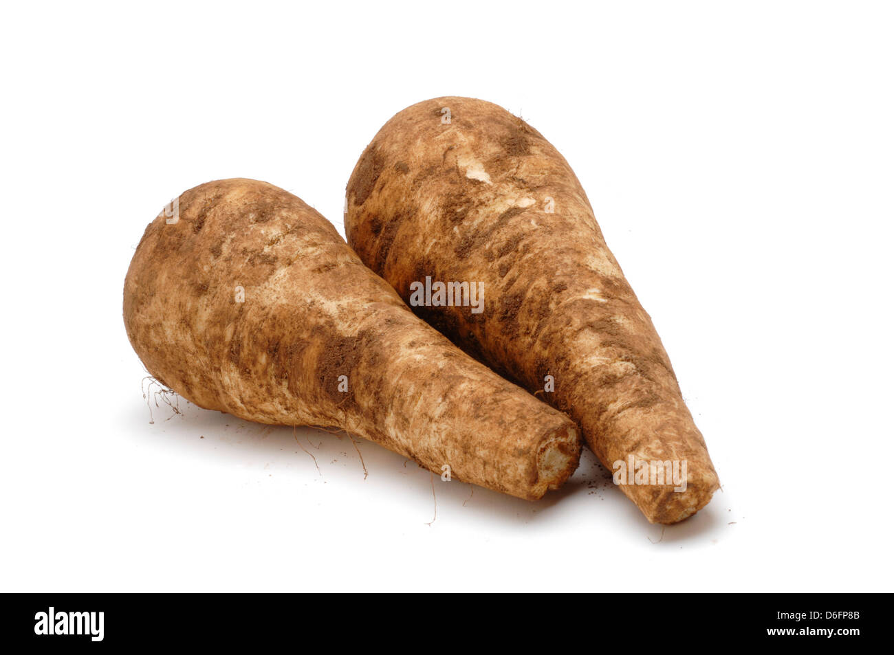 Freshly dug organic parsnips Stock Photo - Alamy