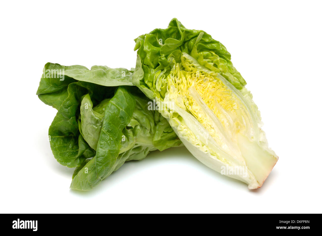 Little Gem lettuce Stock Photo - Alamy