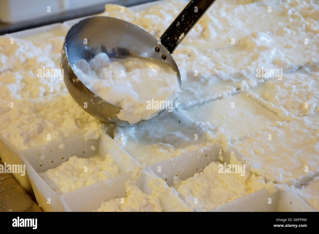How To Make Milk Curd