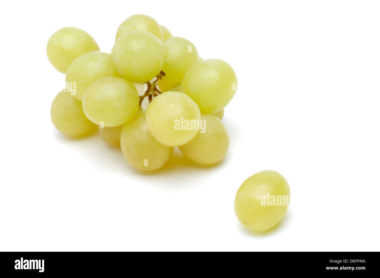White grape photos hi-res stock photography and images - Alamy