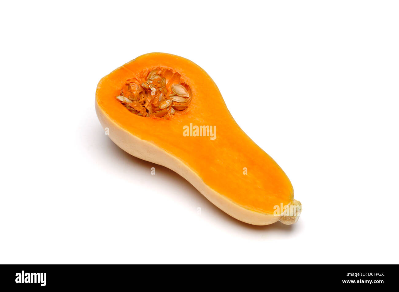 Butternut Squash, halved, on white background Stock Photo - Alamy