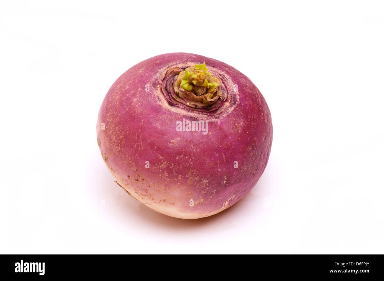 Turnip, whole, on white background Stock Photo - Alamy