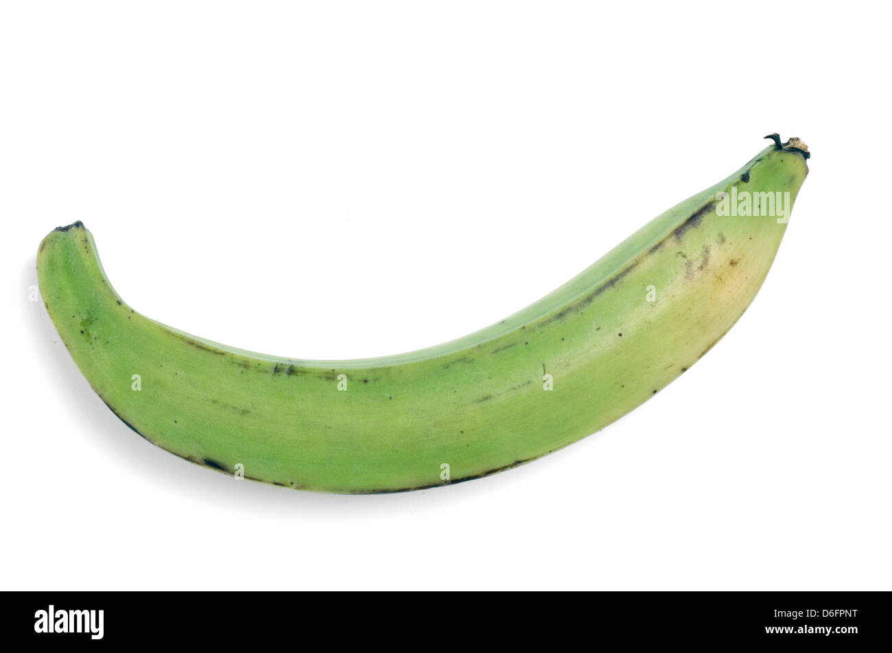 Plantain on white background Stock Photo - Alamy