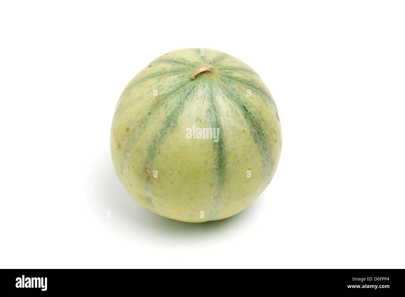Charentais Melon on white background Stock Photo - Alamy