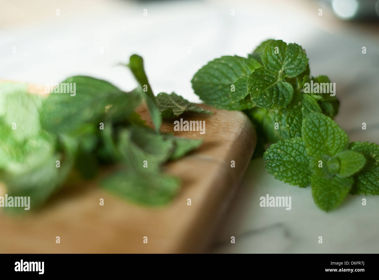 Basil mint hi-res stock photography and images - Alamy