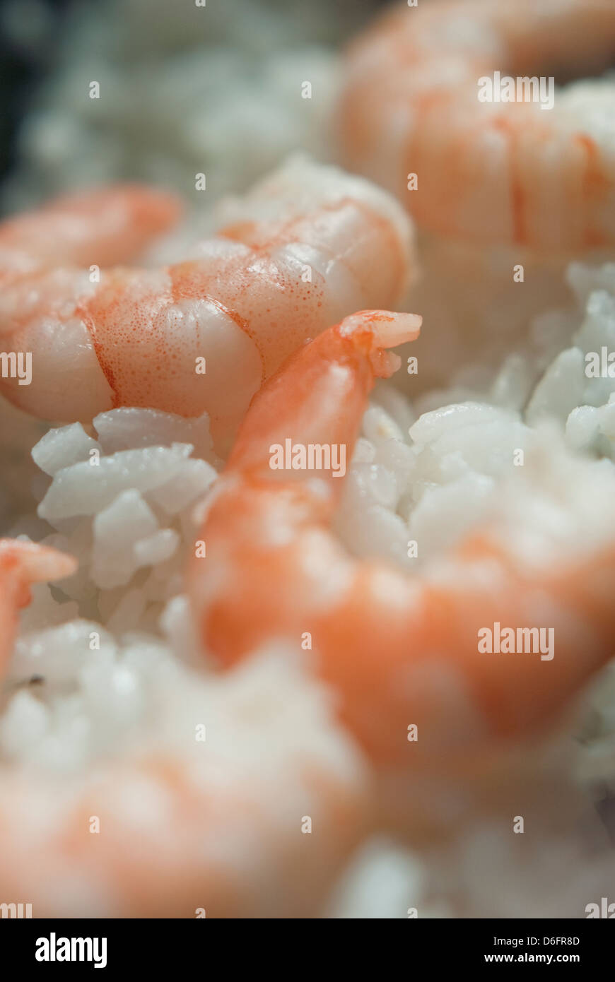 Prawn boxes hi-res stock photography and images - Alamy