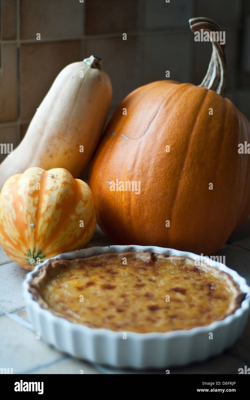 Fluted pumpkin hi-res stock photography and images - Alamy