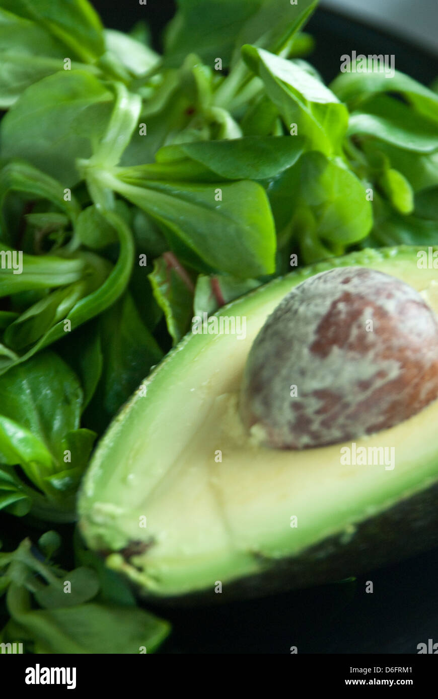 Avocado pear hi-res stock photography and images - Alamy
