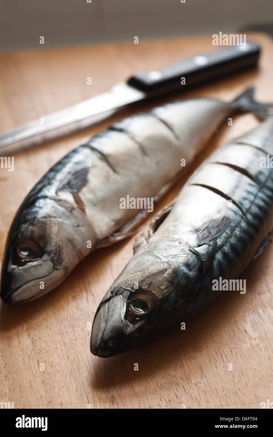 Whole fresh mackerel hi-res stock photography and images - Alamy
