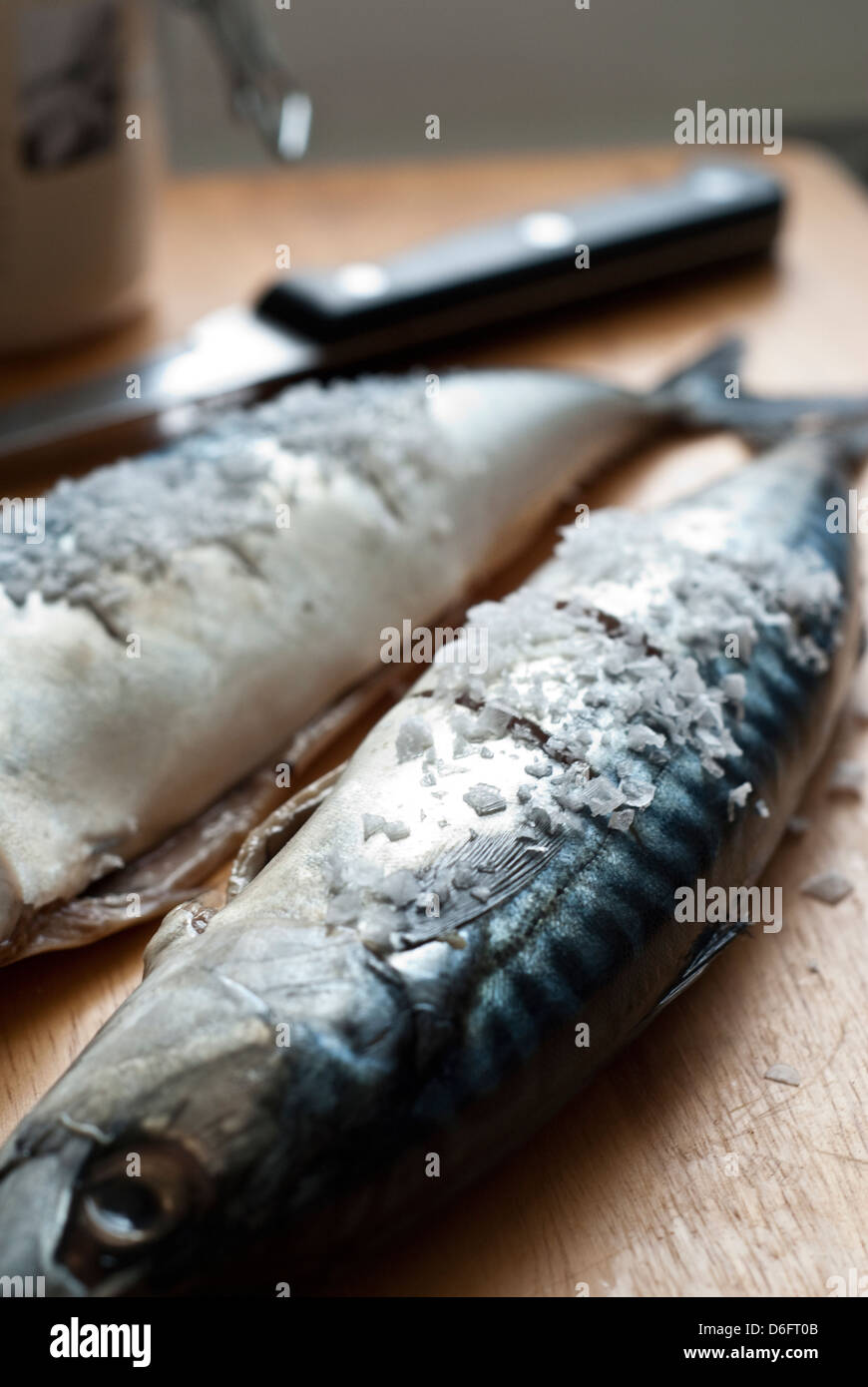 Mackerel oily fish seafood hi-res stock photography and images - Alamy