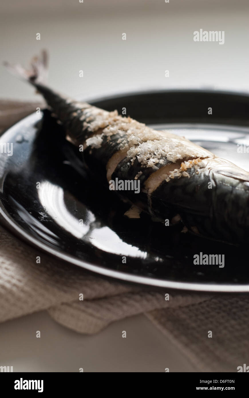 Plate freshly caught mackerel fish hi-res stock photography and images ...