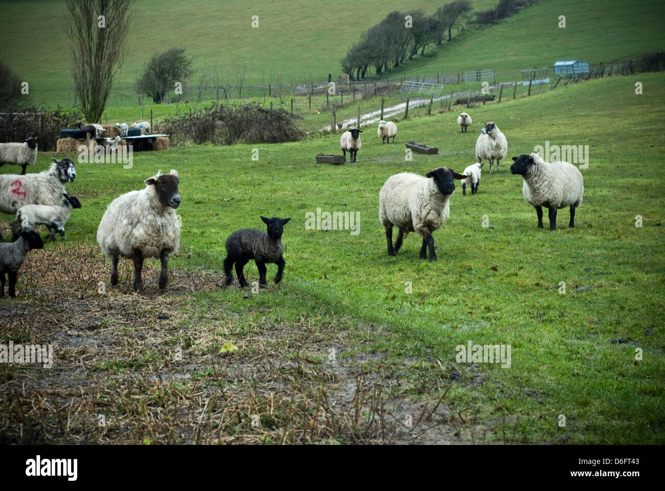 Spring daylight uk hi-res stock photography and images - Alamy