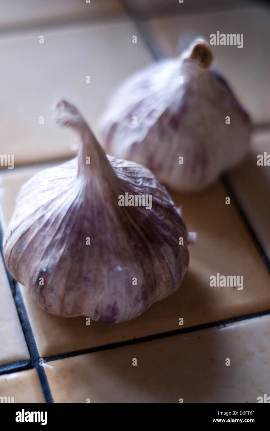 Whole Bulbs of Garlic Stock Photo - Alamy