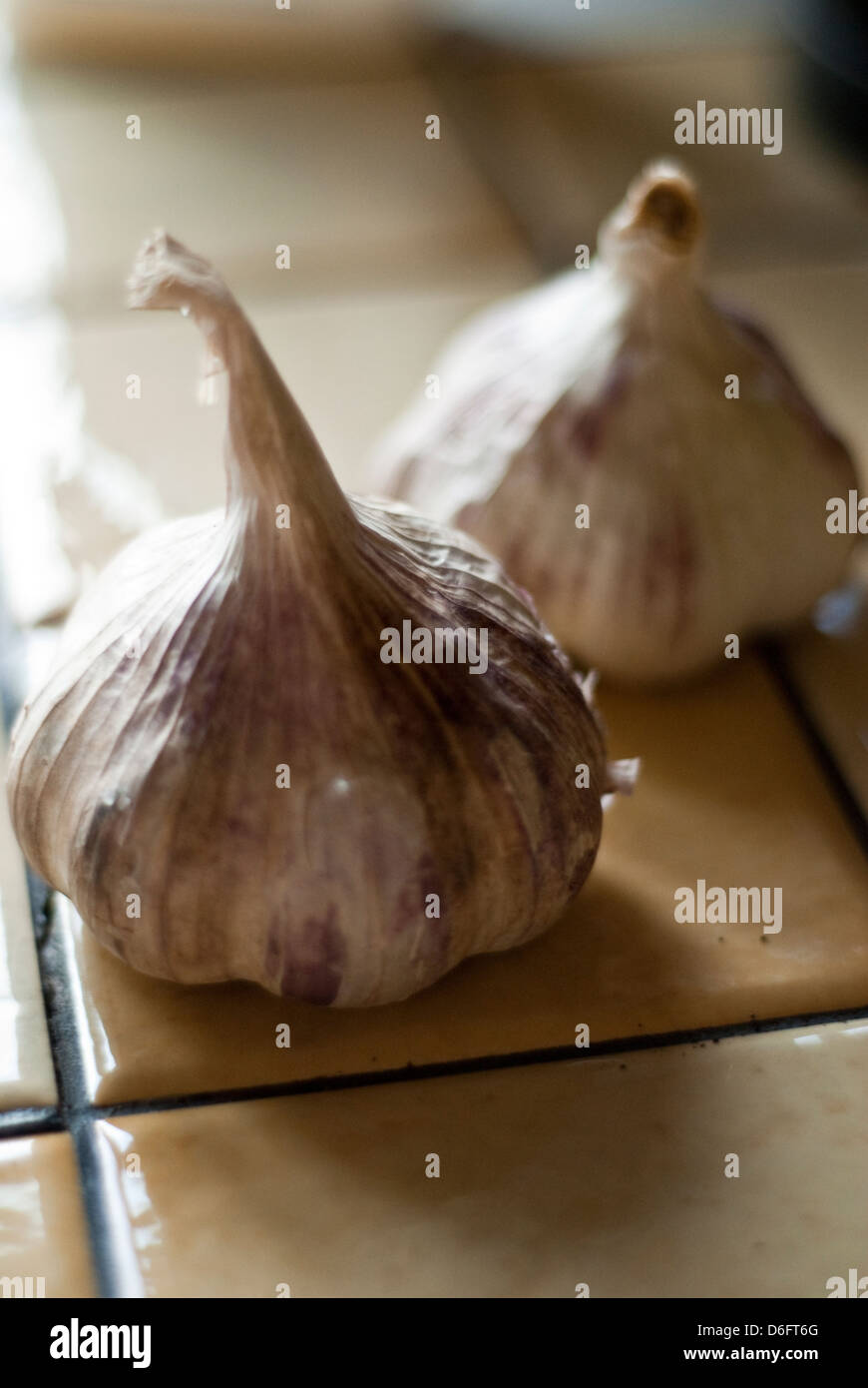 Whole Bulbs of Garlic Stock Photo - Alamy