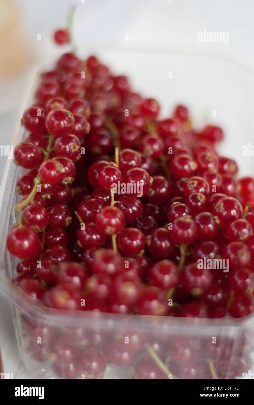 Punnets punnet hi-res stock photography and images - Alamy
