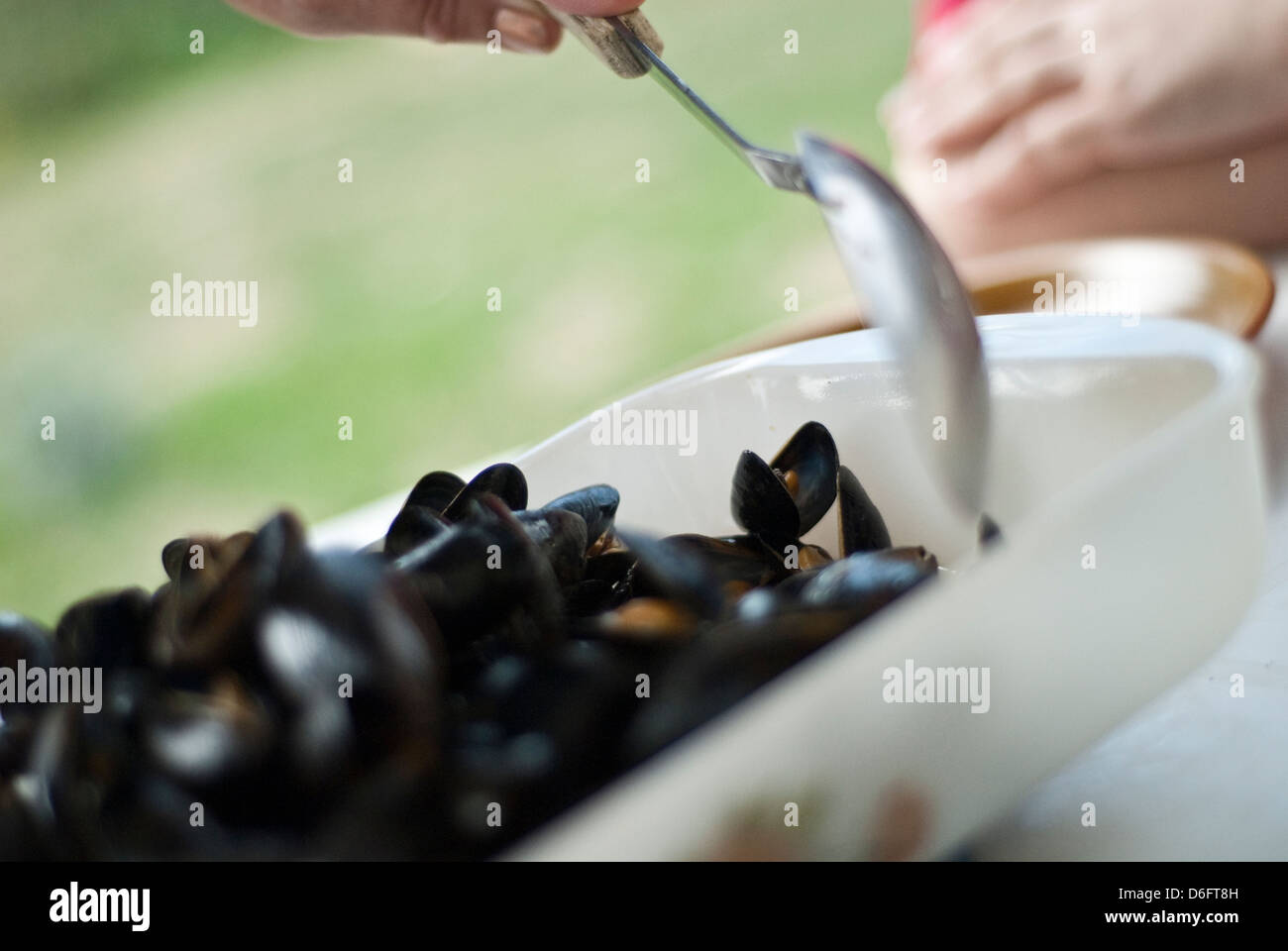 Serving Mussels with Garlic Butter Stock Photo - Alamy