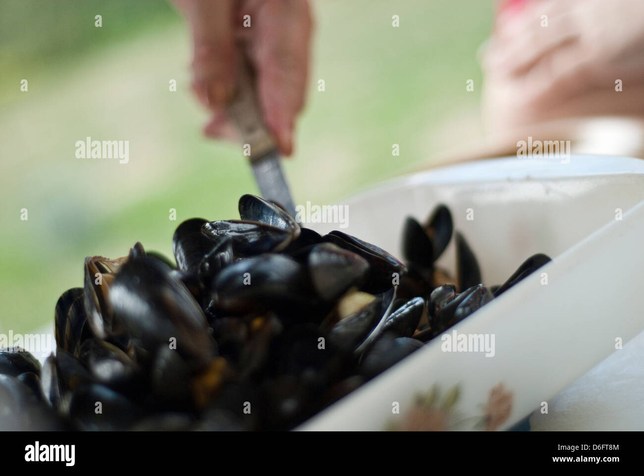 Serving Mussels with Garlic Butter Stock Photo - Alamy