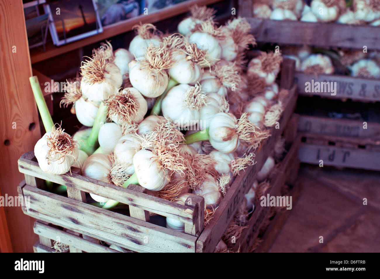 Bulb Crates High Resolution Stock Photography and Images - Alamy