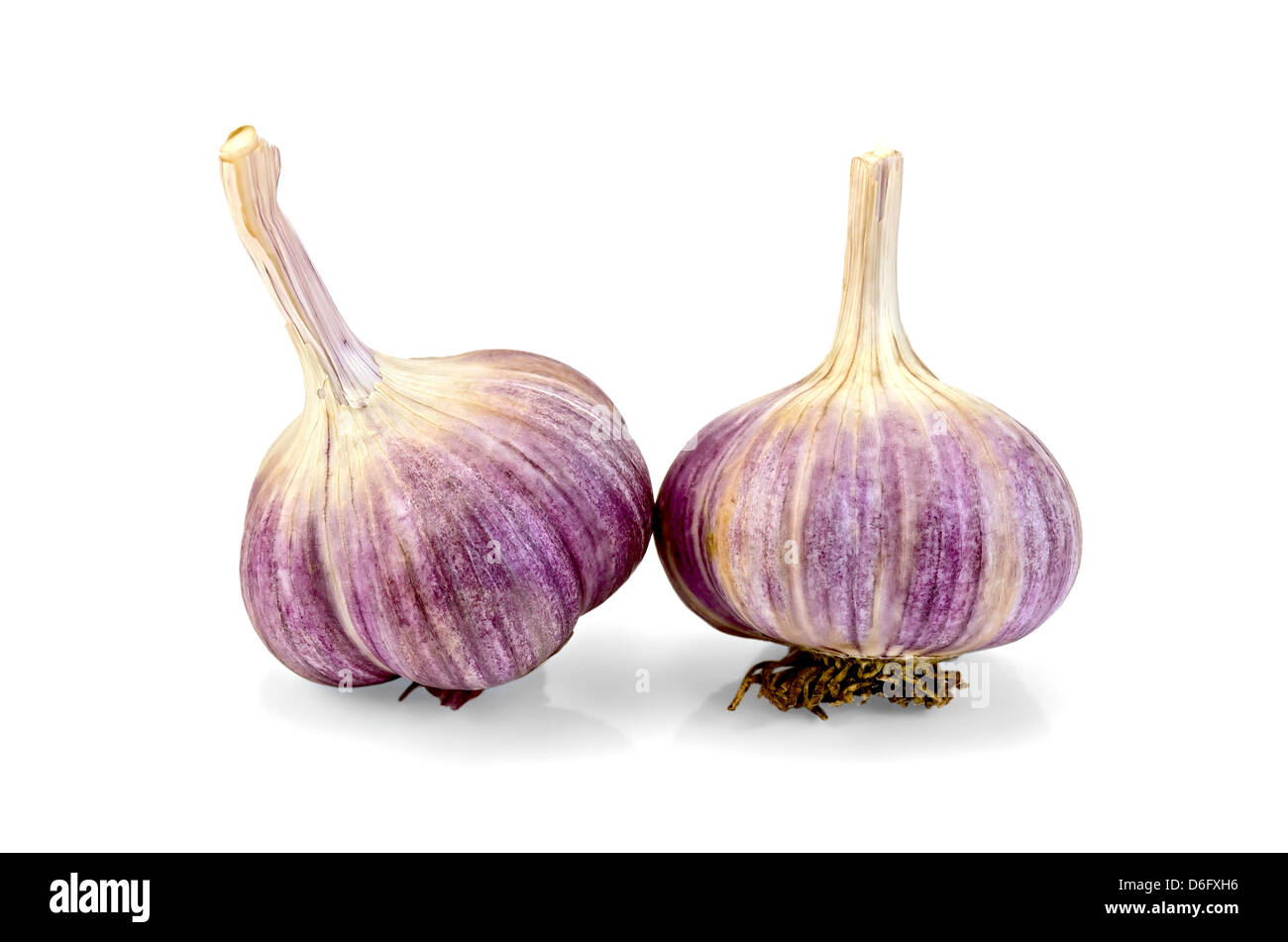 Two heads of garlic isolated on a white background Stock Photo - Alamy