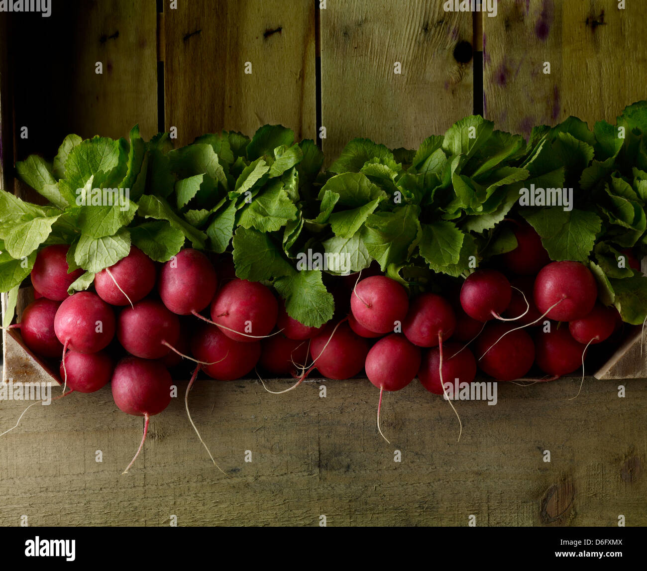 Radishes in box Stock Photo - Alamy