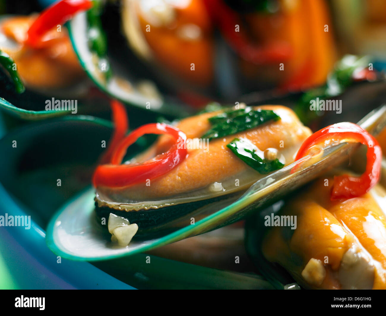Green lipped mussels hi-res stock photography and images - Alamy