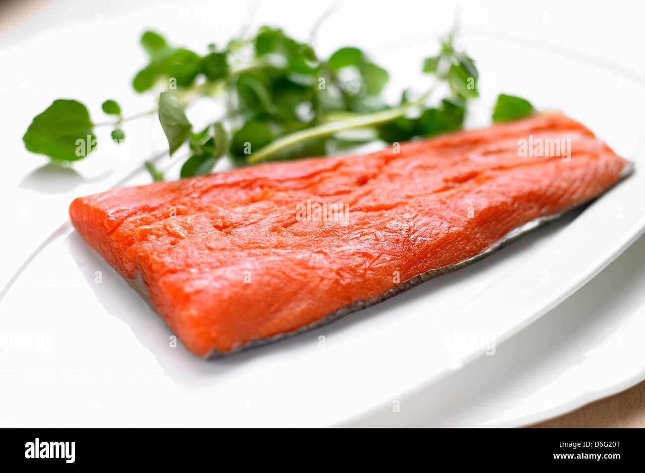 Wild salmon hi-res stock photography and images - Alamy