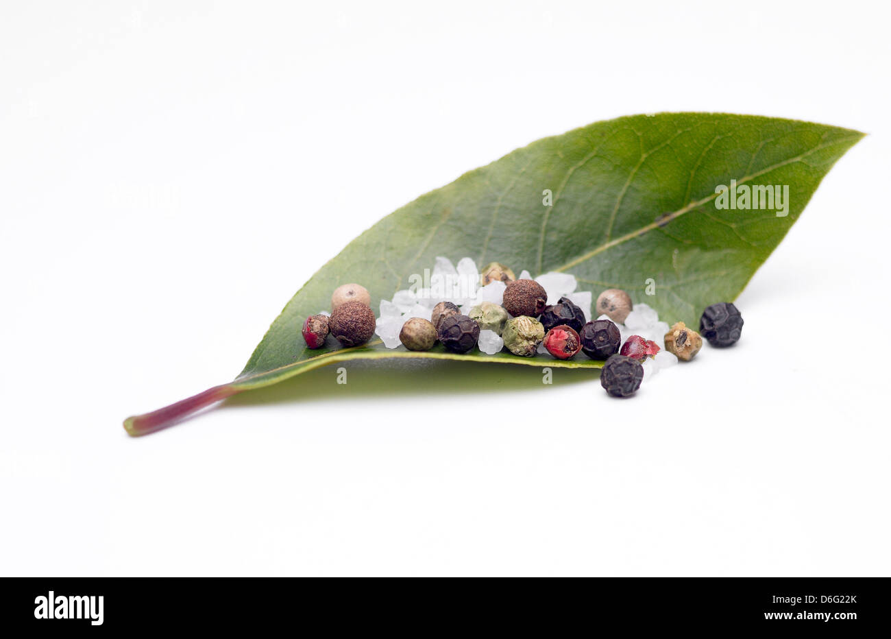 Bay leaf drink hi-res stock photography and images - Alamy