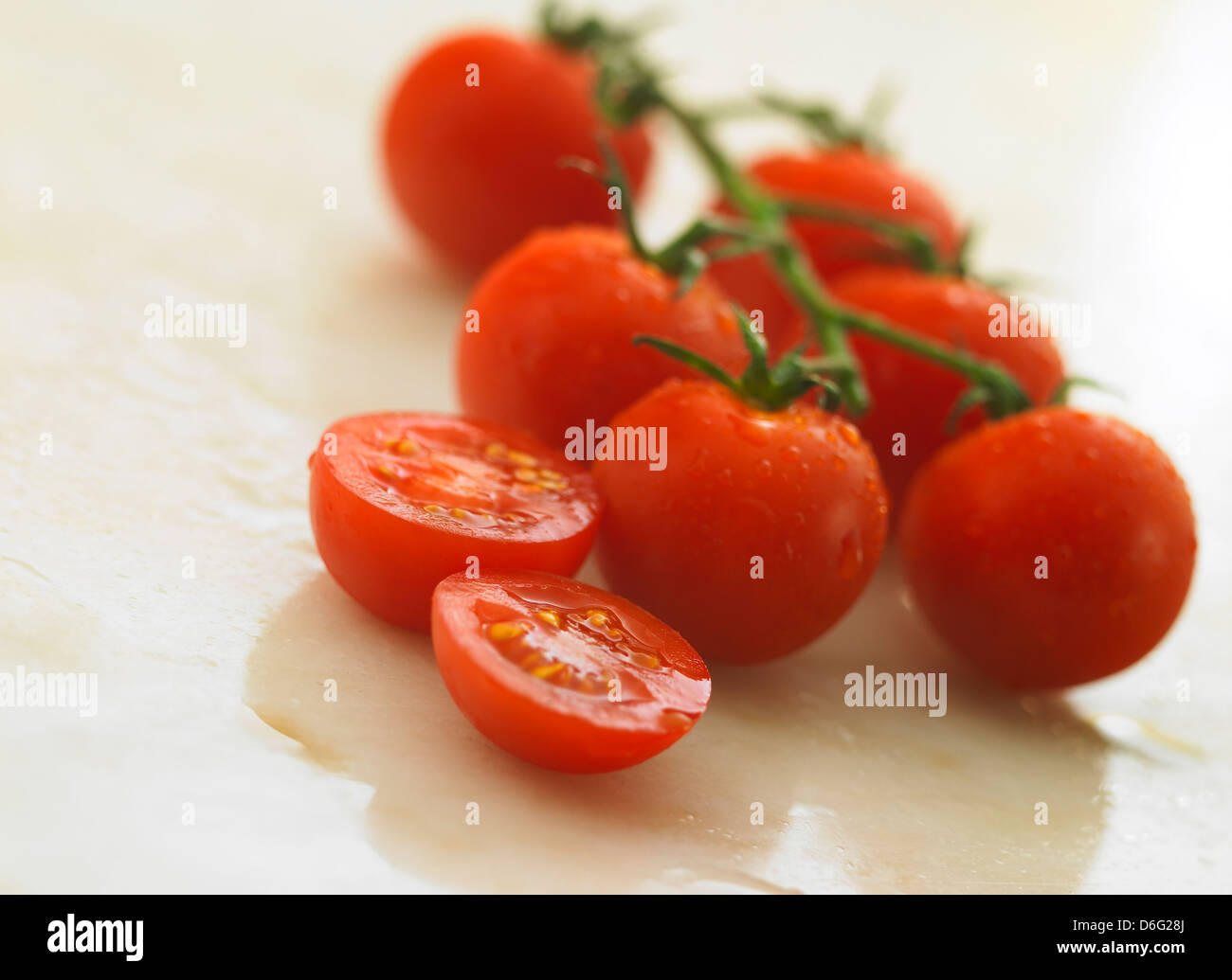 Small vine hi-res stock photography and images - Alamy