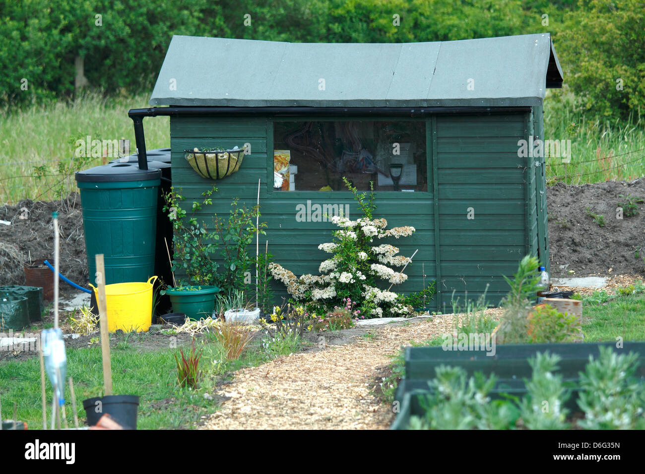 Shed on an Allotment Stock Photo - Alamy
