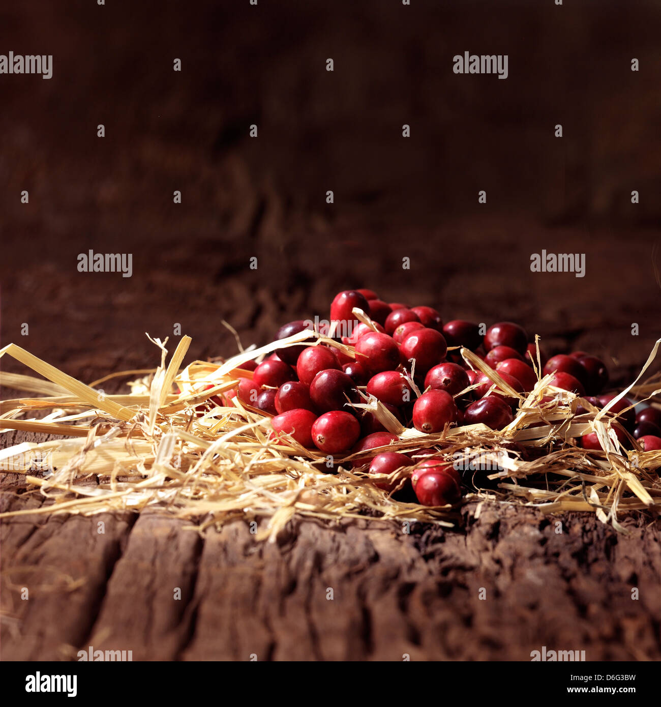 Cranberries on a rustic table Stock Photo - Alamy