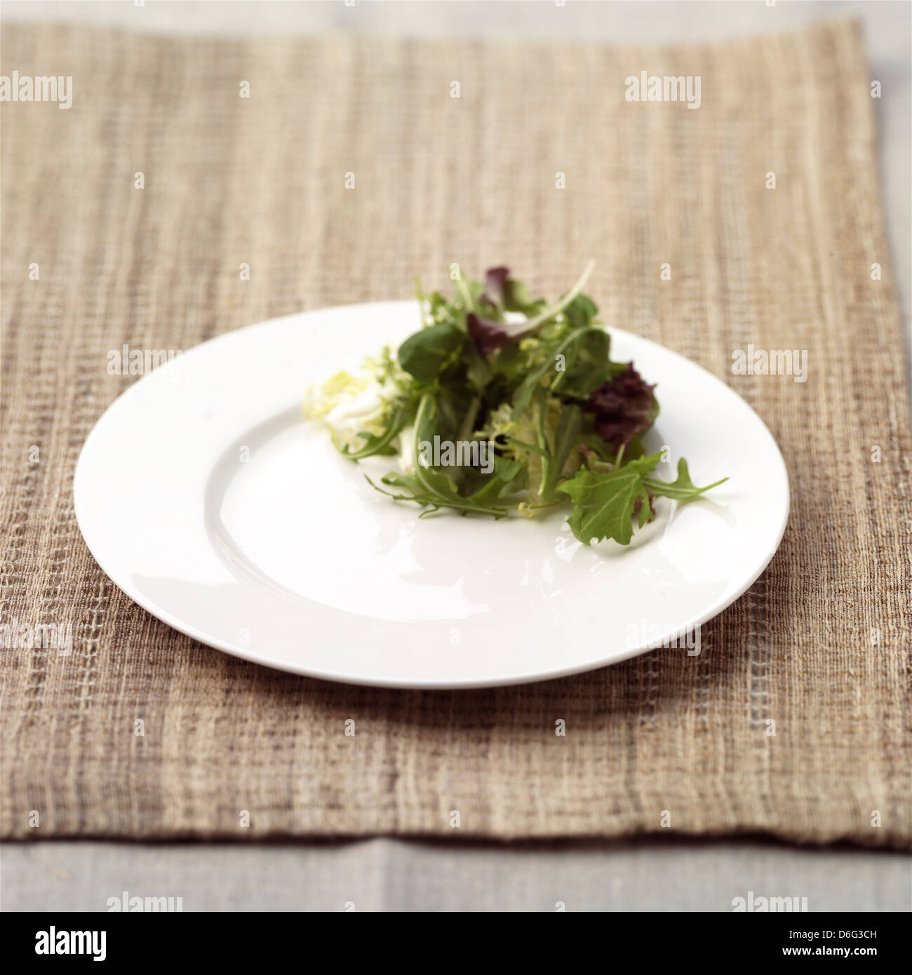 Mixed salad garnish leaves on a plate Stock Photo - Alamy