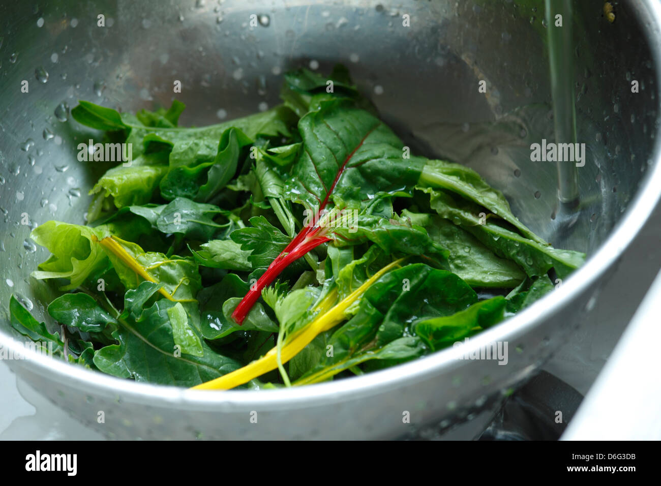 Washing Mixed Salad Leaves Stock Photo - Alamy
