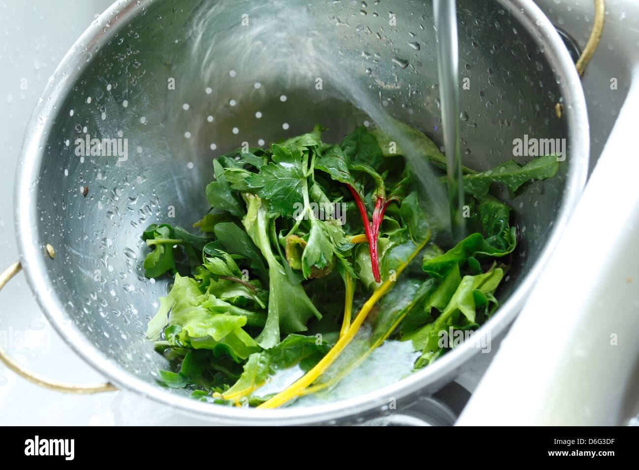 Washing Mixed Salad Leaves Stock Photo - Alamy