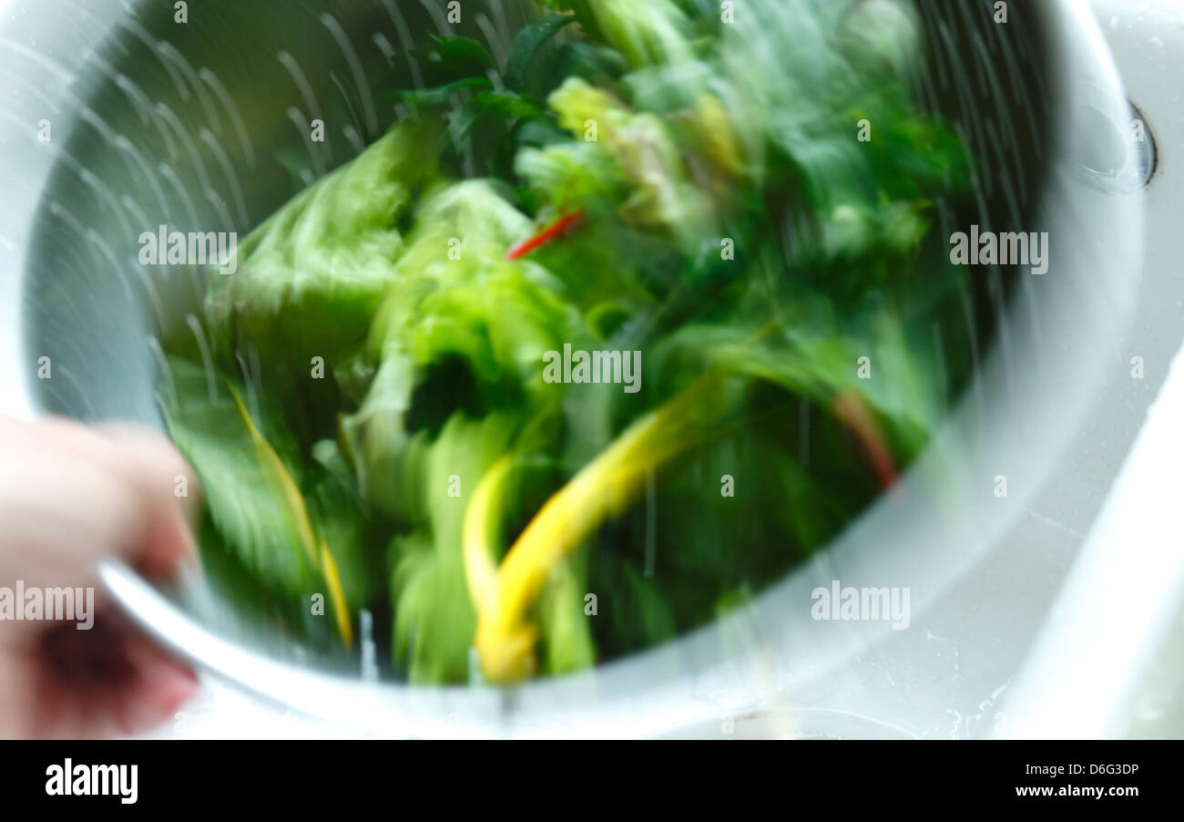 Mixed salad leaves hi-res stock photography and images - Alamy