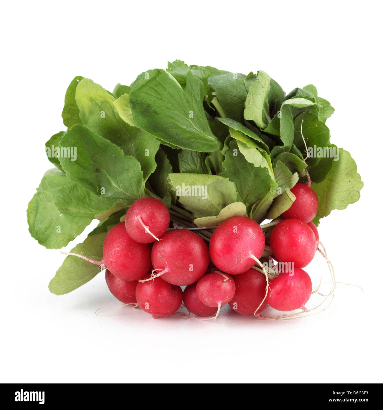 Colourful radish Cut Out Stock Images & Pictures - Alamy