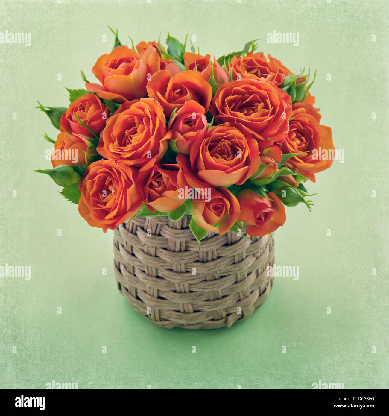Orange Rose Bouquet High Resolution Stock Photography and Images - Alamy