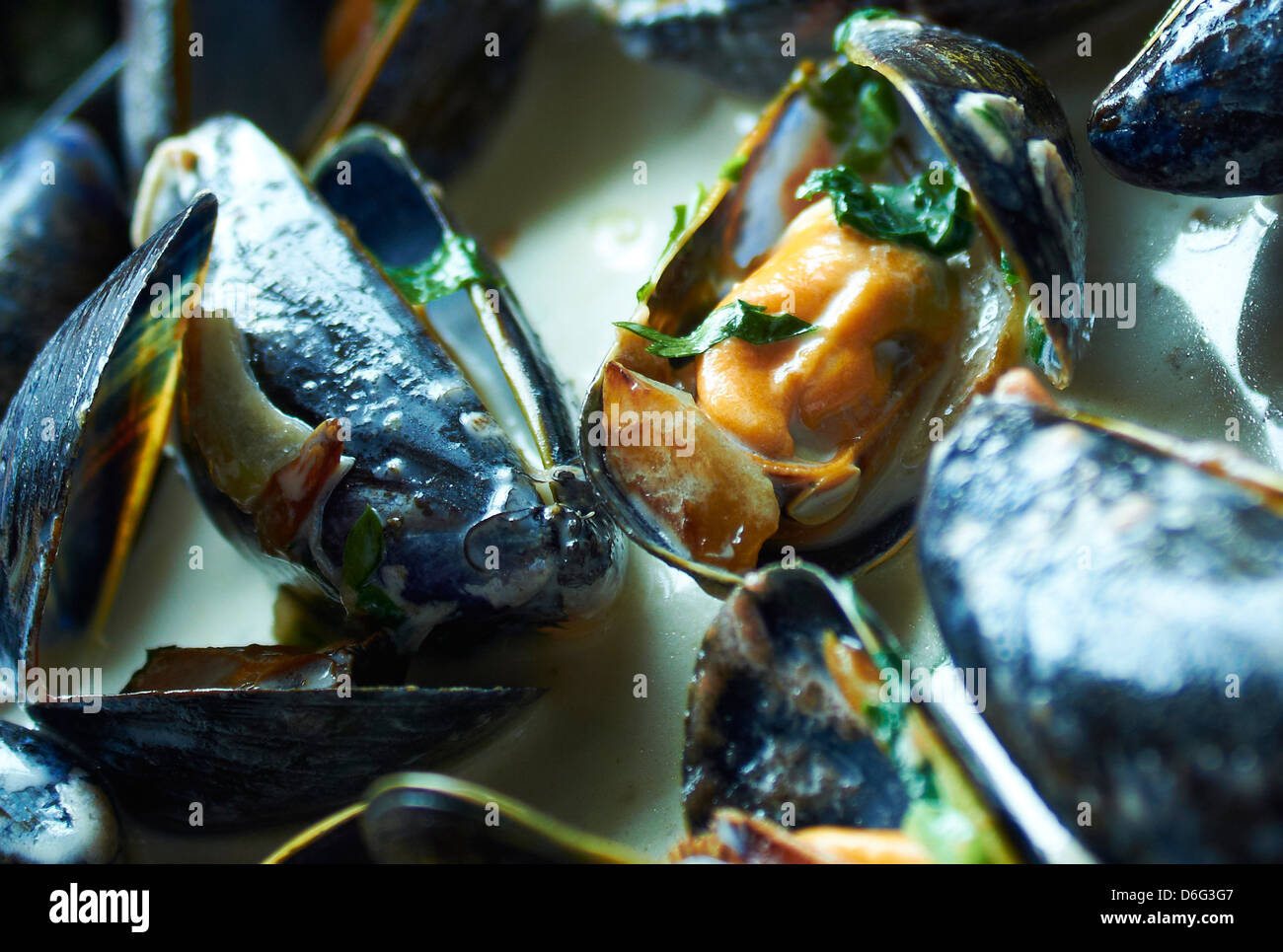 Moules mariniÃ¨re - scottish mussels with recipe Stock Photo - Alamy