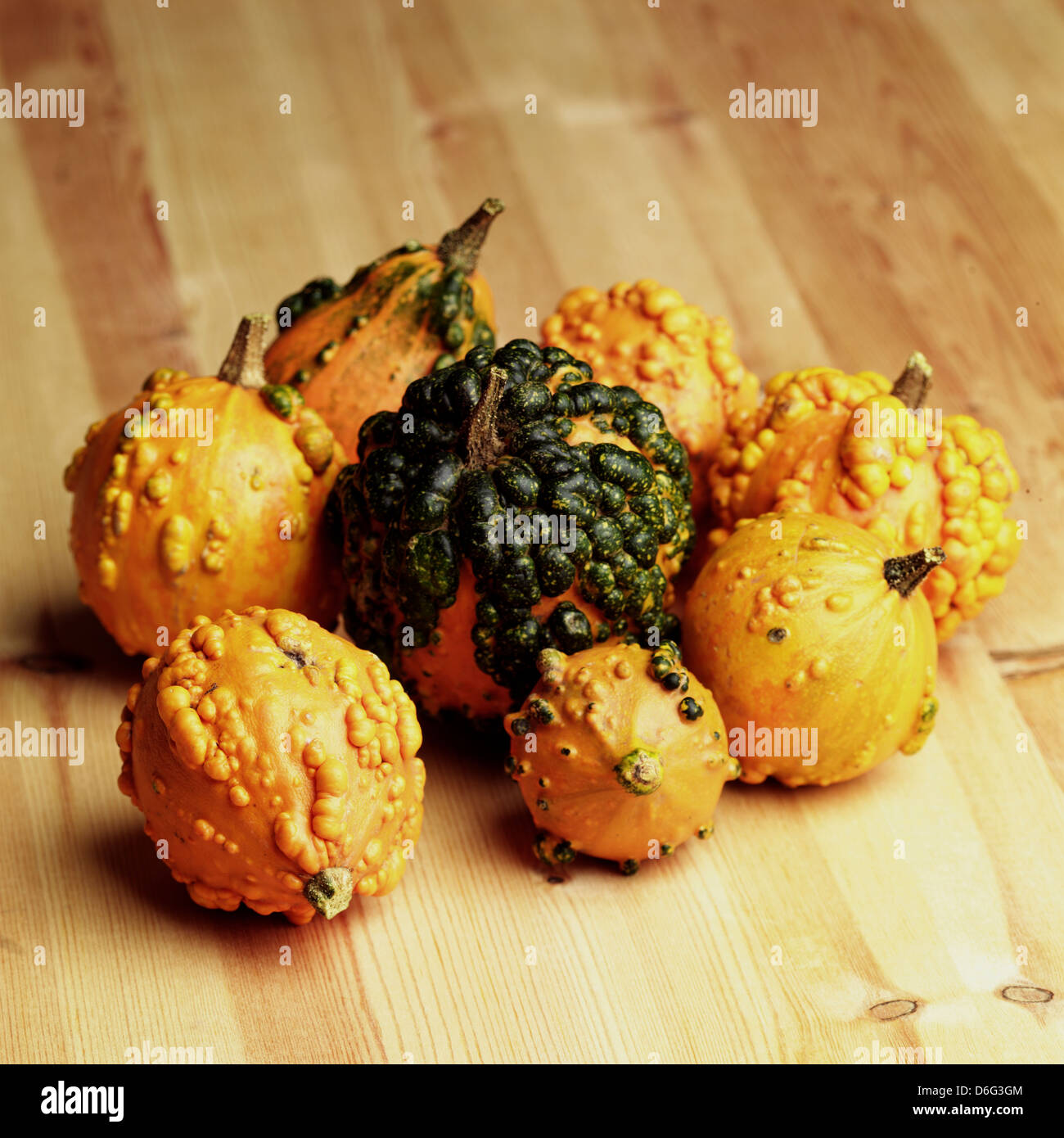 Small assorted Gourds Stock Photo - Alamy