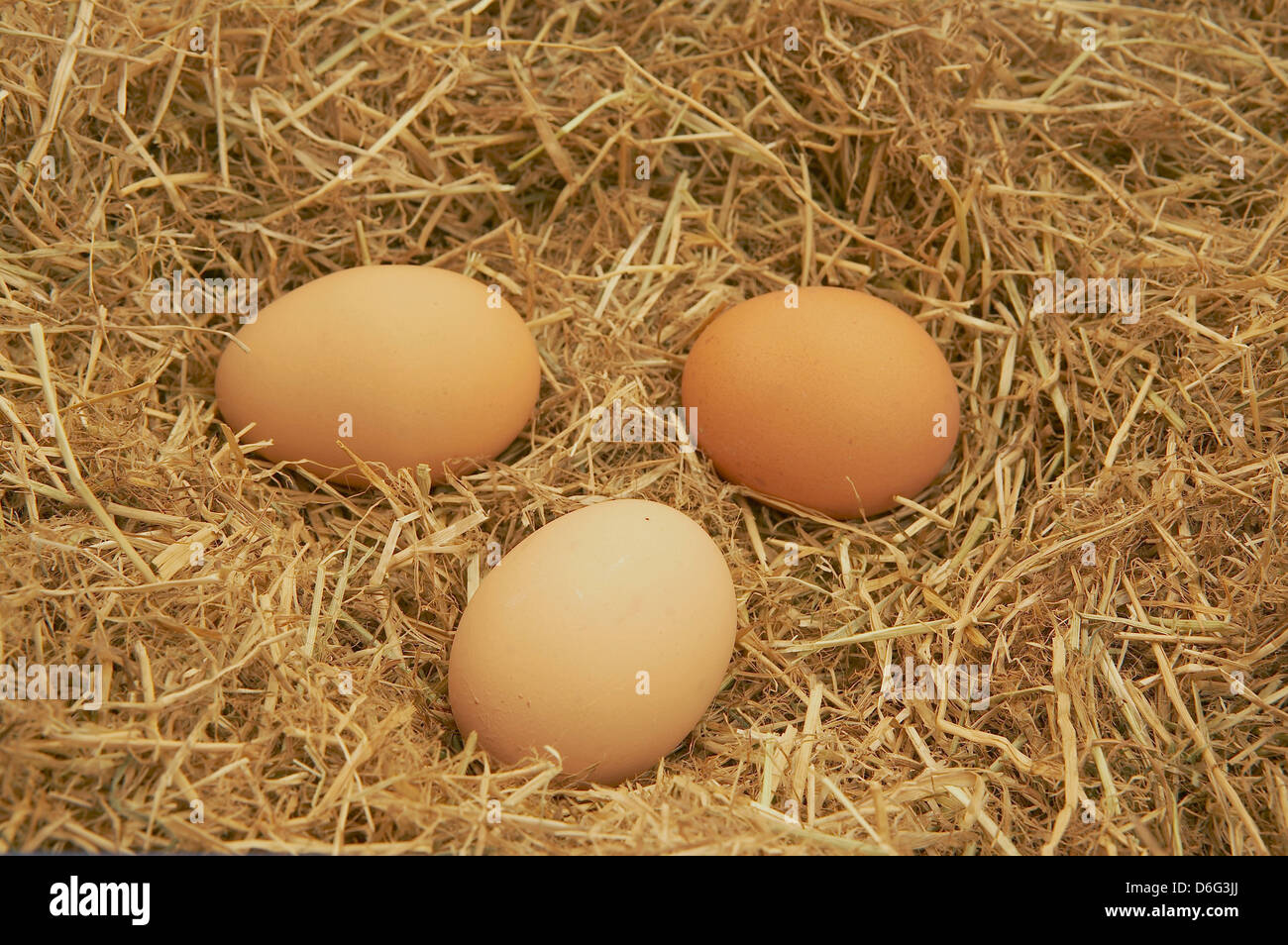 Barn photos hi-res stock photography and images - Alamy