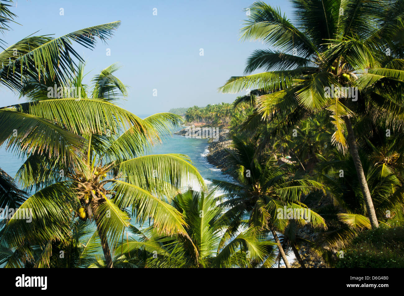 Palm trees on Varkala beach, South India Stock Photo - Alamy