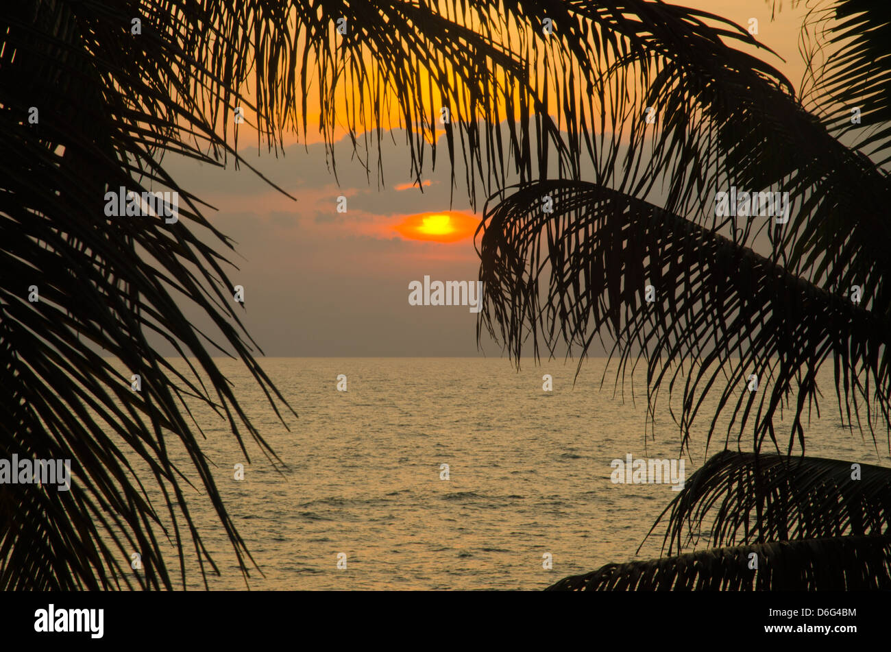 Palm tree sky sunset kerala hi-res stock photography and images - Alamy