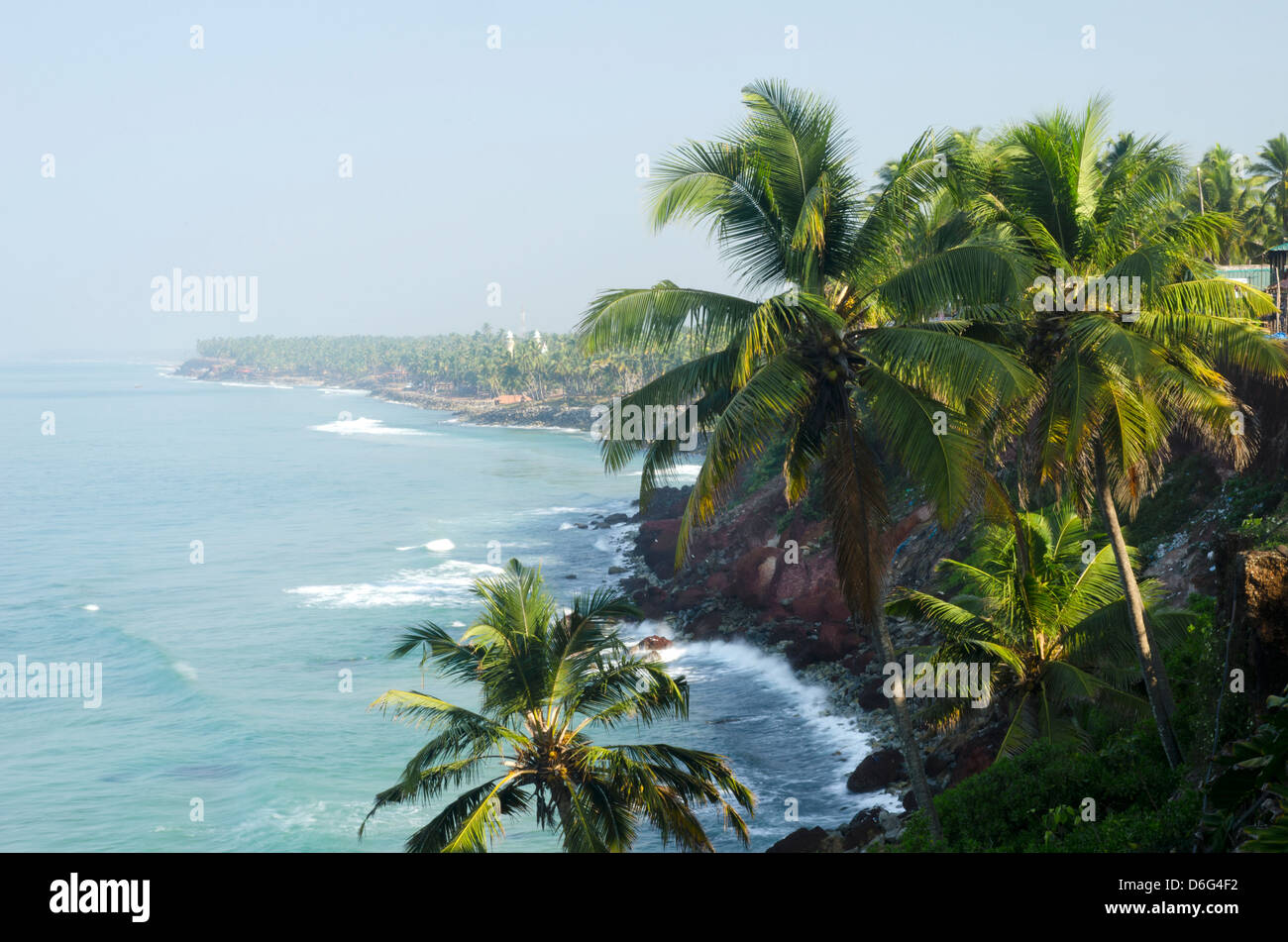 Palm trees on Varkala beach, South India Stock Photo - Alamy