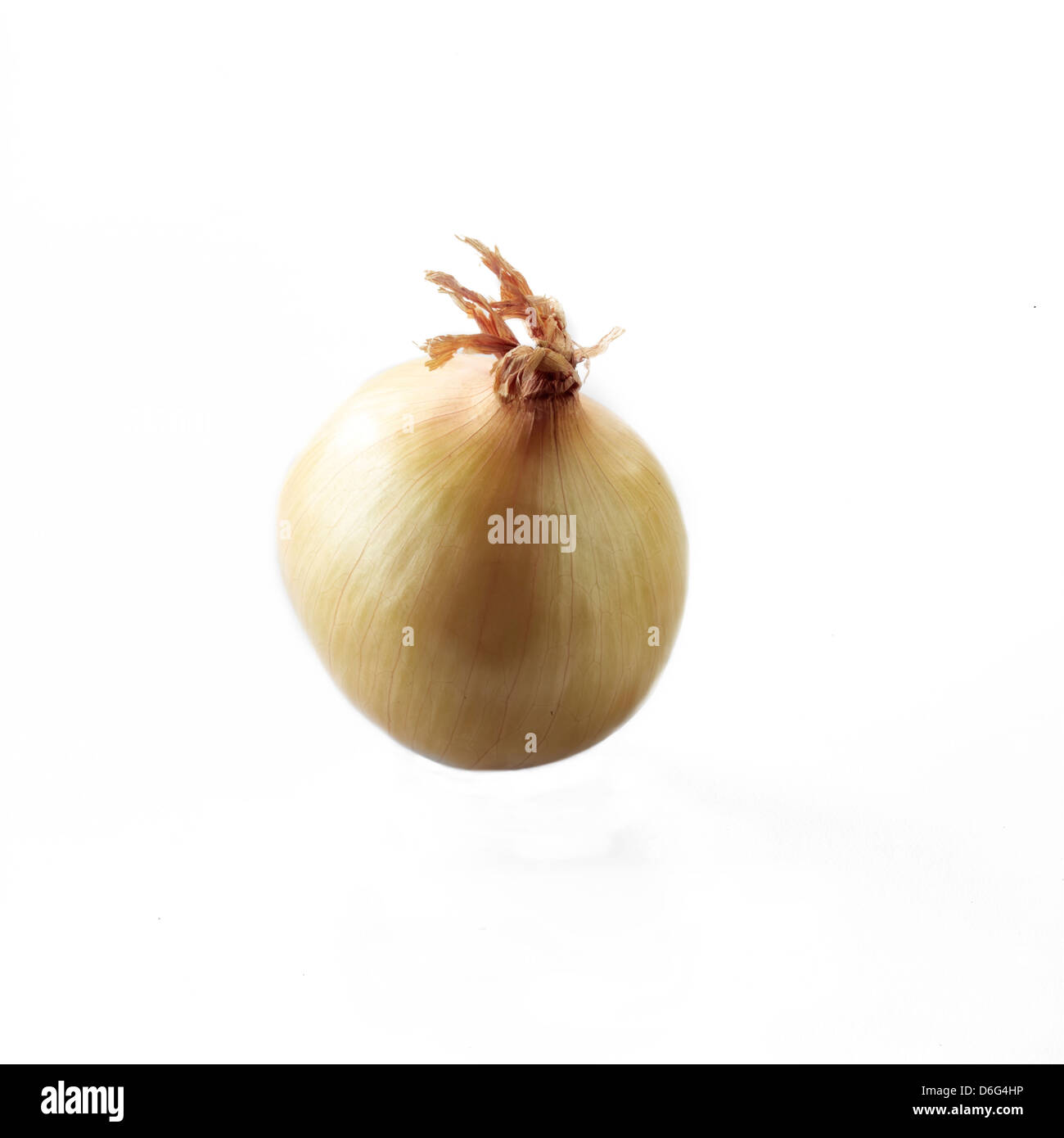 Single common onion hi-res stock photography and images - Alamy