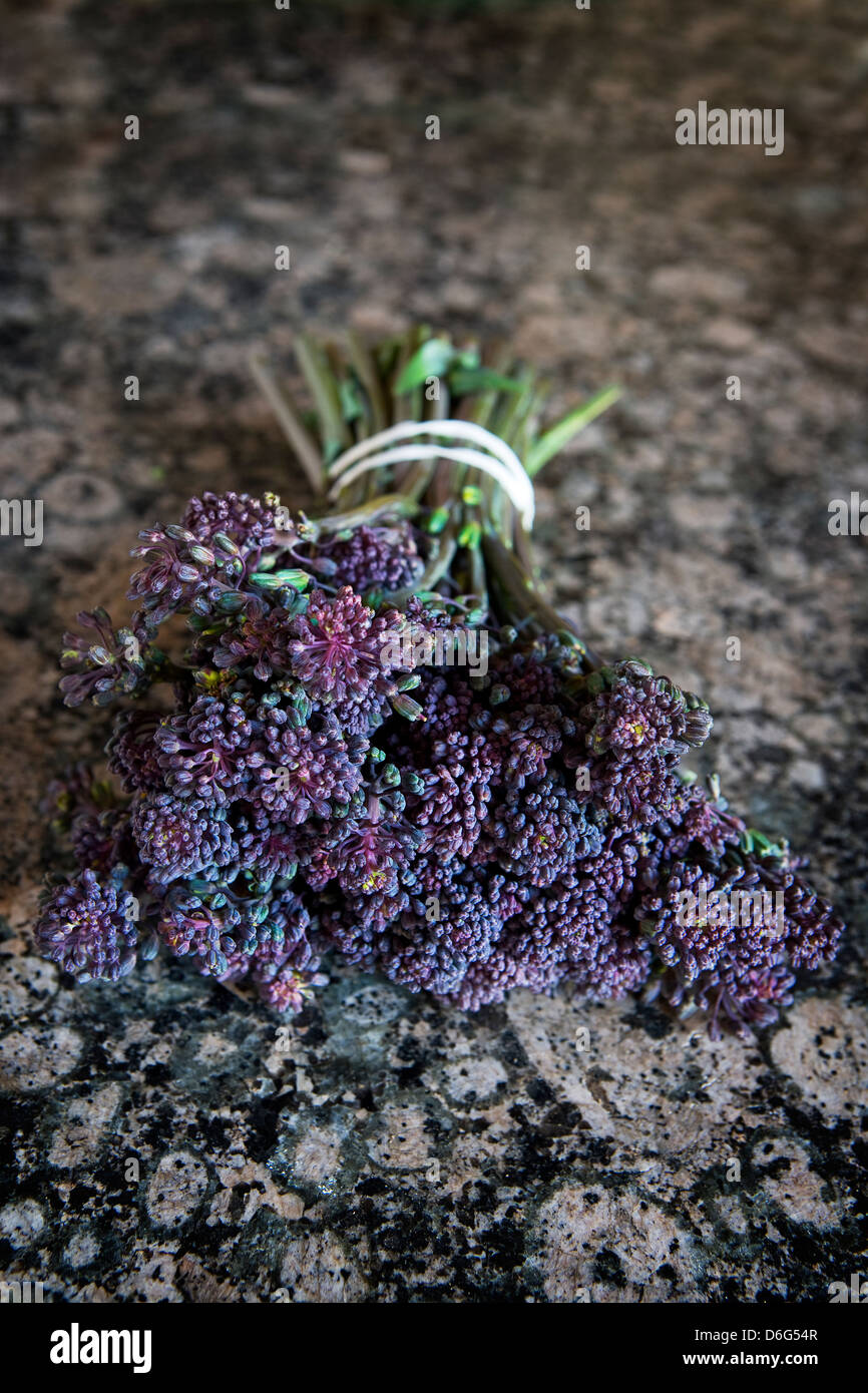 Purple sprouting broccoli hi-res stock photography and images - Alamy