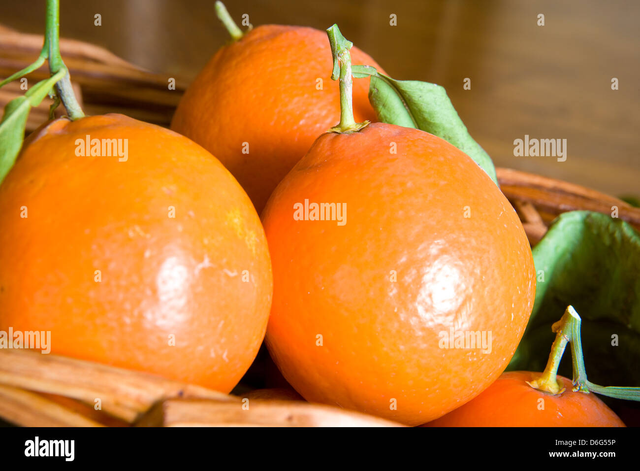 Minneolas hi-res stock photography and images - Alamy
