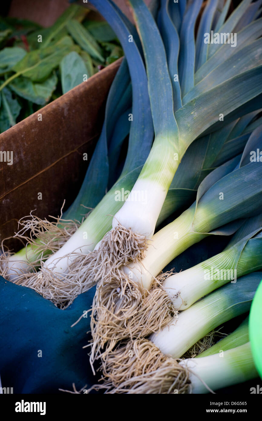 Fresh vegetable displays hi-res stock photography and images - Alamy