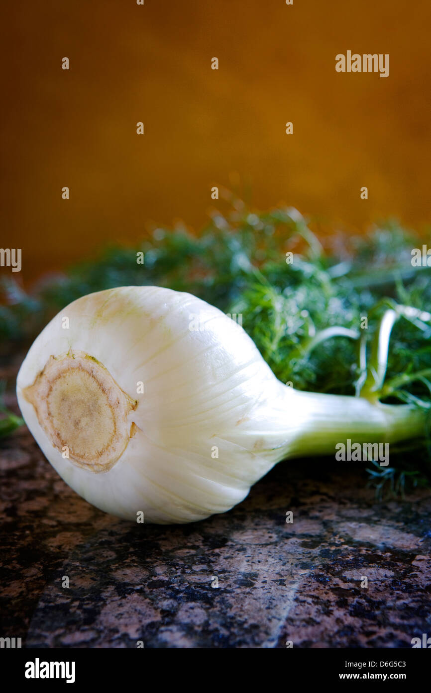 Fennel bulb hi-res stock photography and images - Alamy