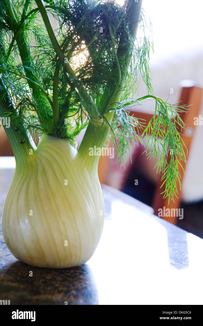 Fennel bulb hi-res stock photography and images - Alamy