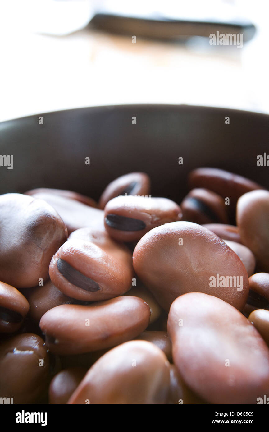 Fava beans hi-res stock photography and images - Alamy